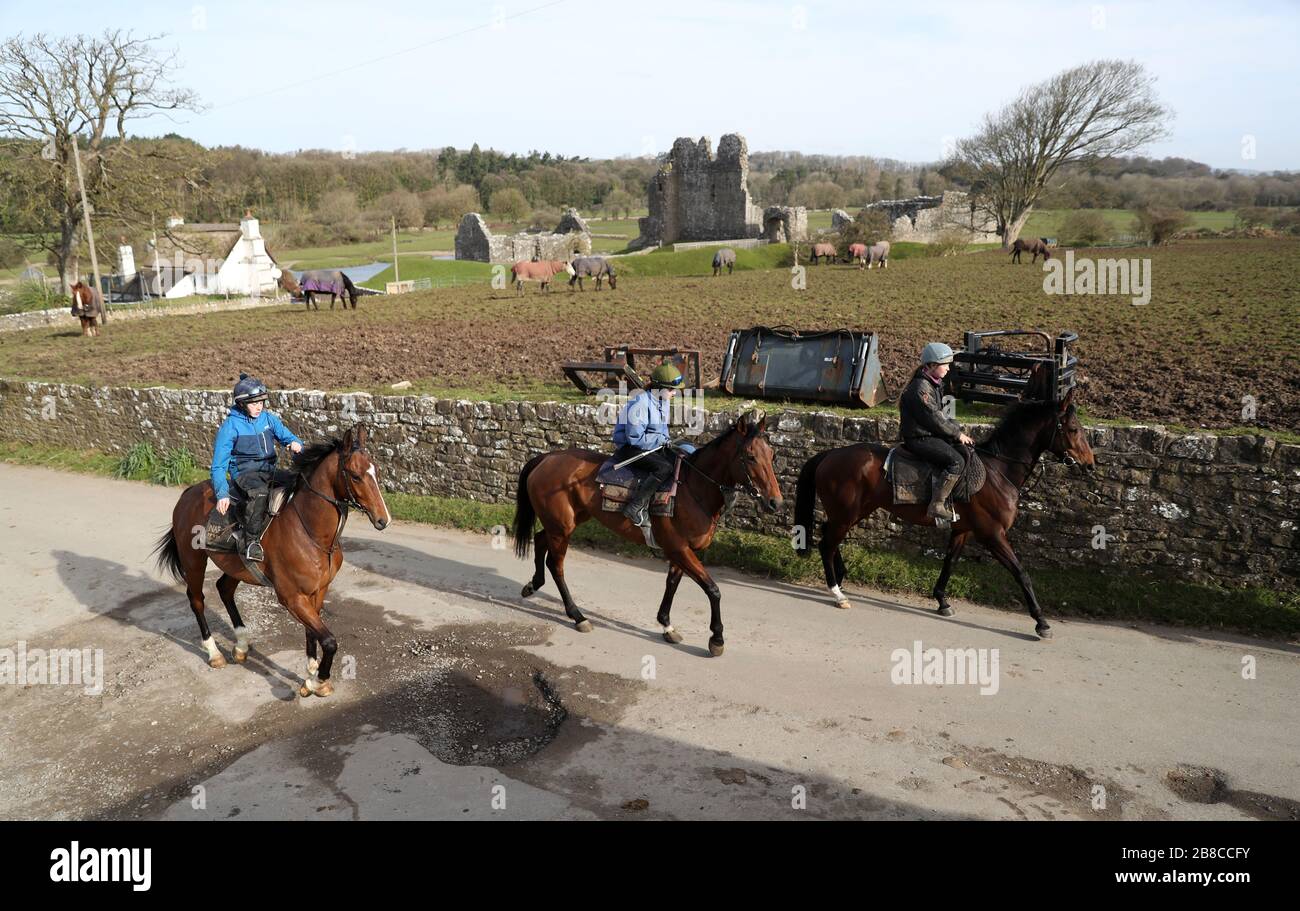 Horses from Christian Williams' stables near Ogmore Castle in Glamorgan ...