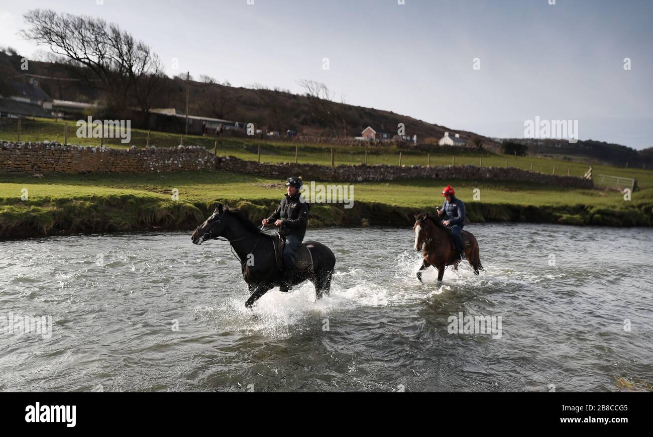 Horses ogmore river hi-res stock photography and images - Alamy