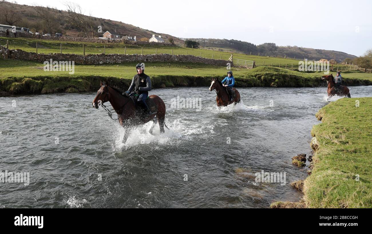 Horses from Christian Williams' stables in the river next to Ogmore ...