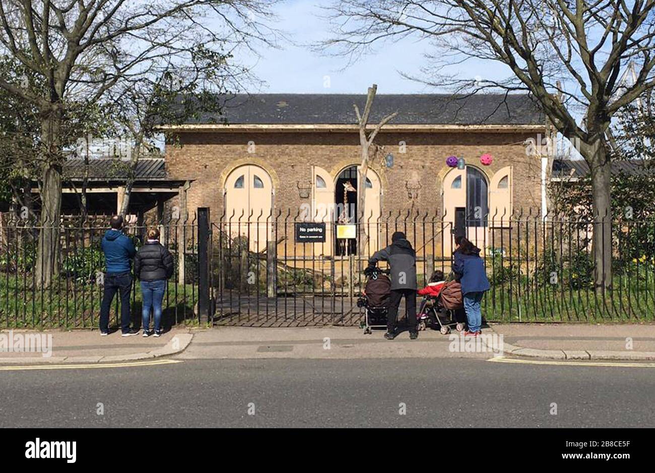 People look through closed gates at the animals at ZSL London Zoo, in ...