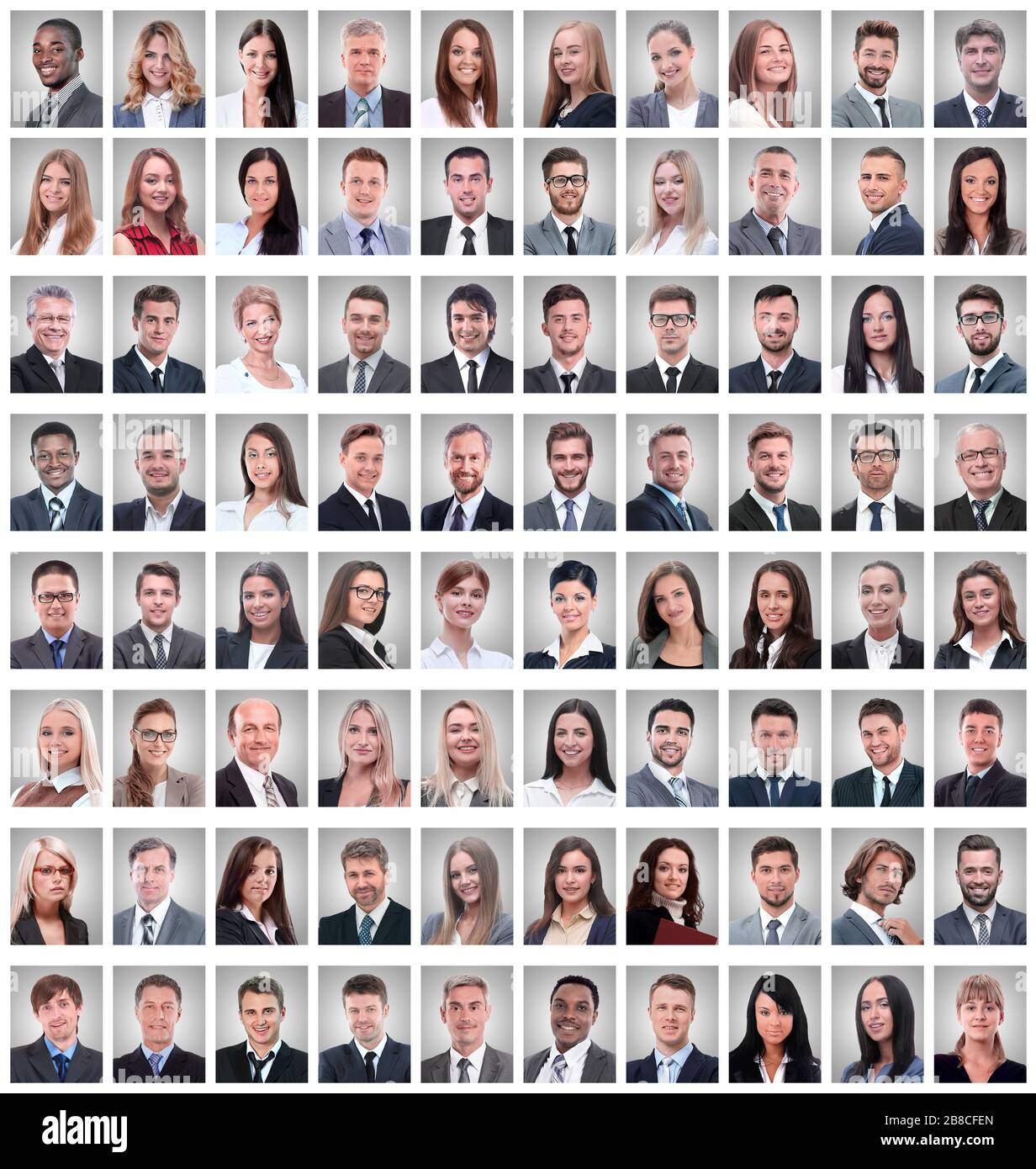 portraits of a group of successful employees isolated on white Stock ...