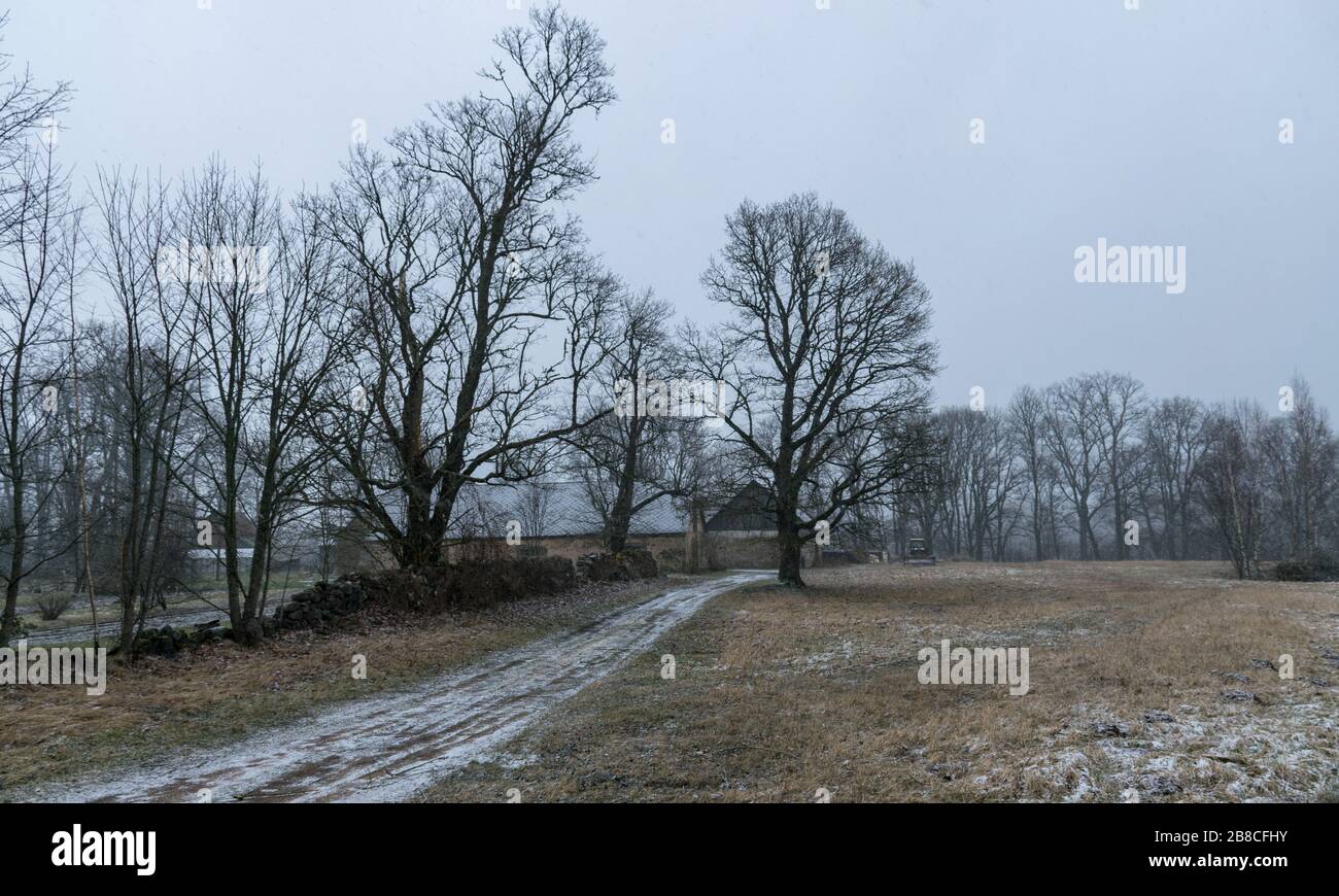 asphalt road picture, snow texture on the picture, bokeh light effect ...