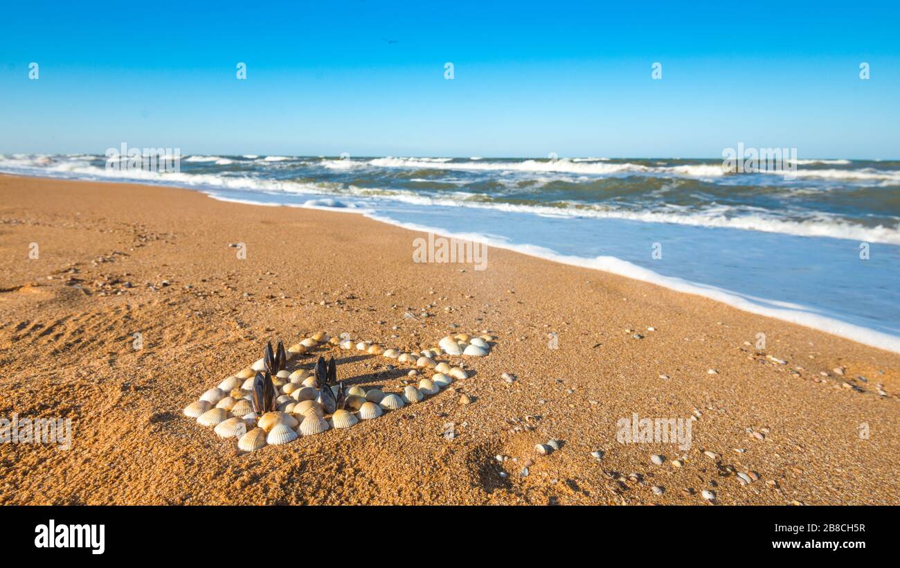 Azov sea sandy beach shells hi-res stock photography and images - Alamy
