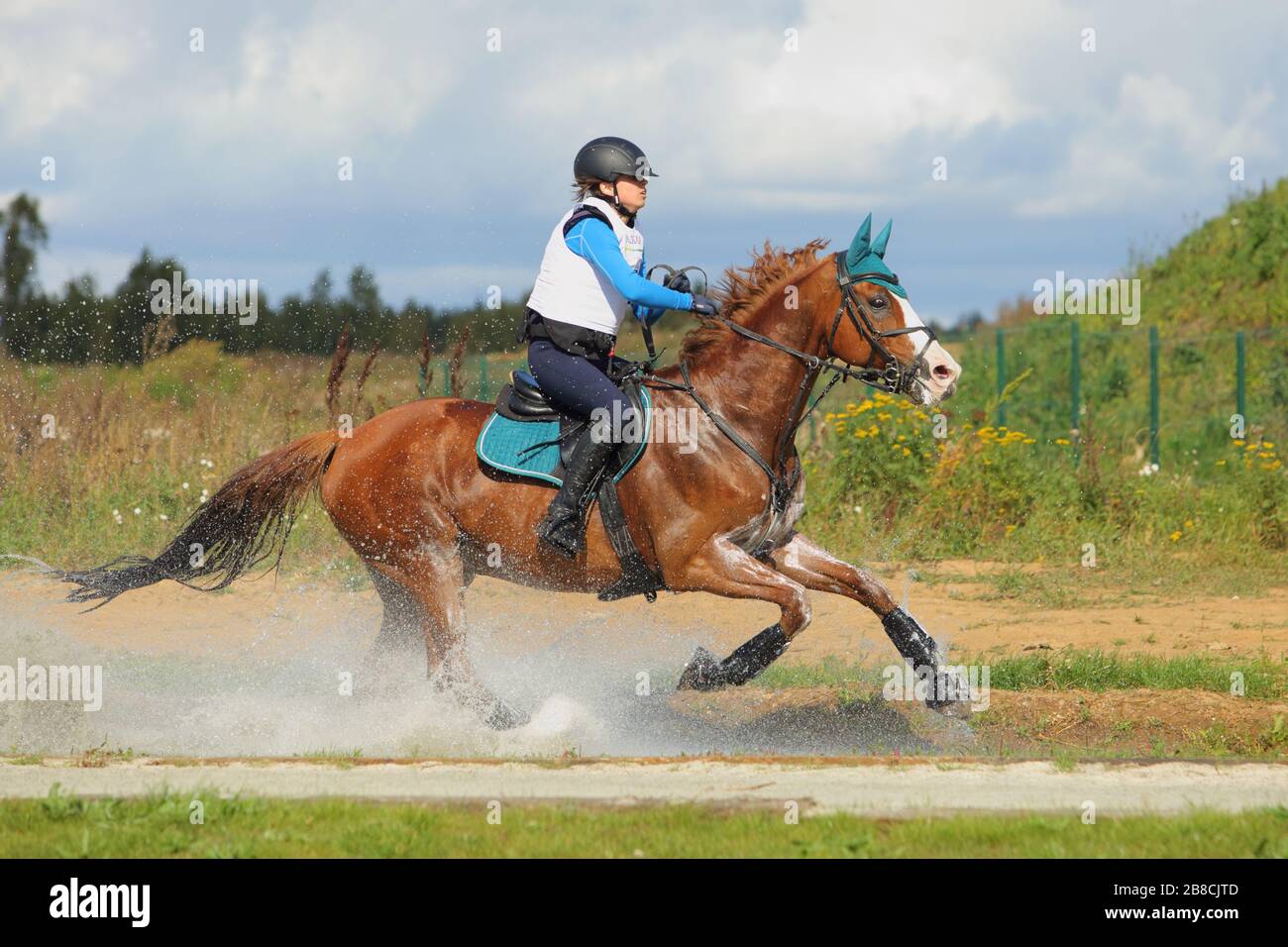Light Chestnut Horse Jumping