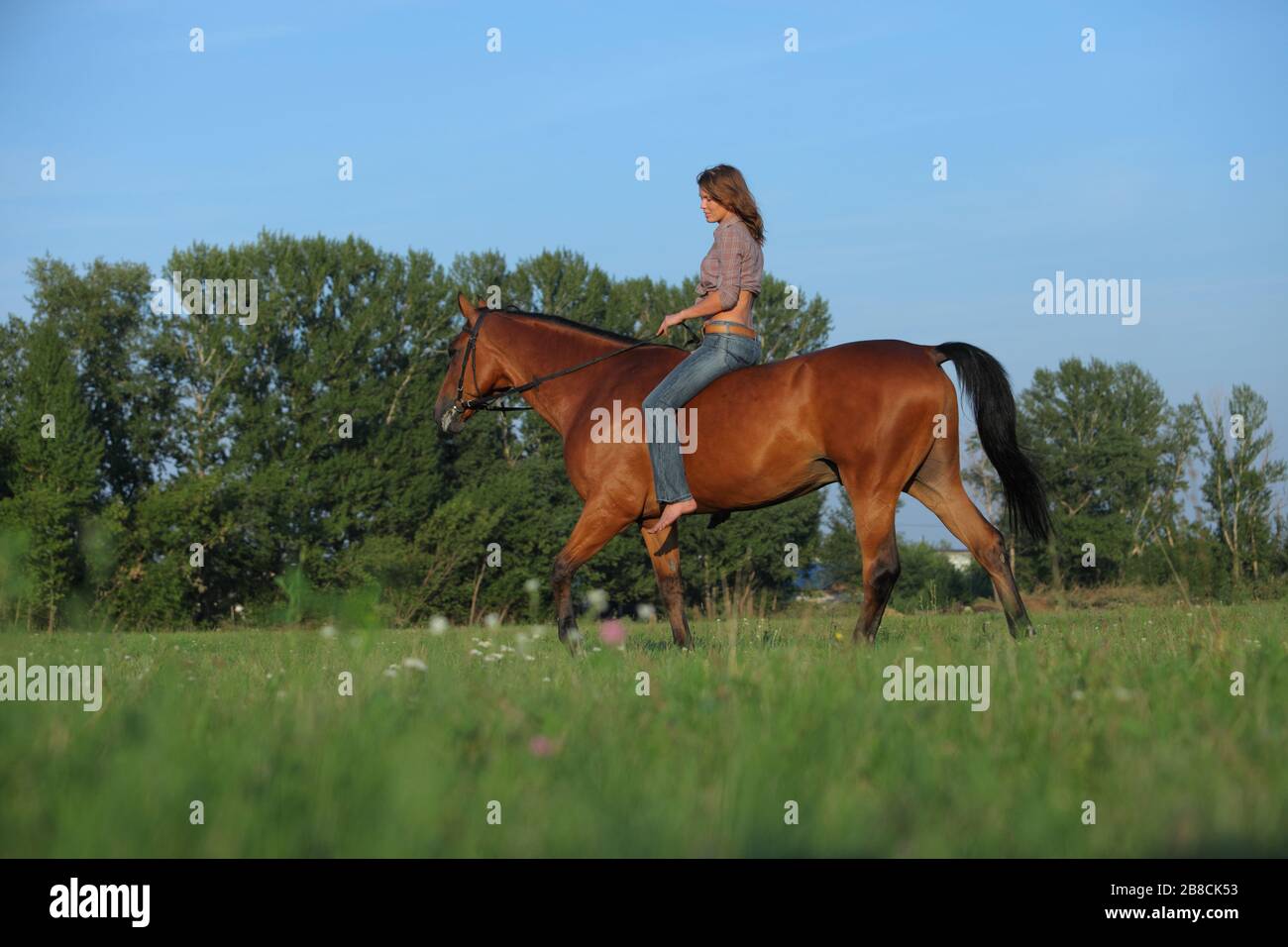 Attractive woman riding horse bareback hi-res stock photography and ...