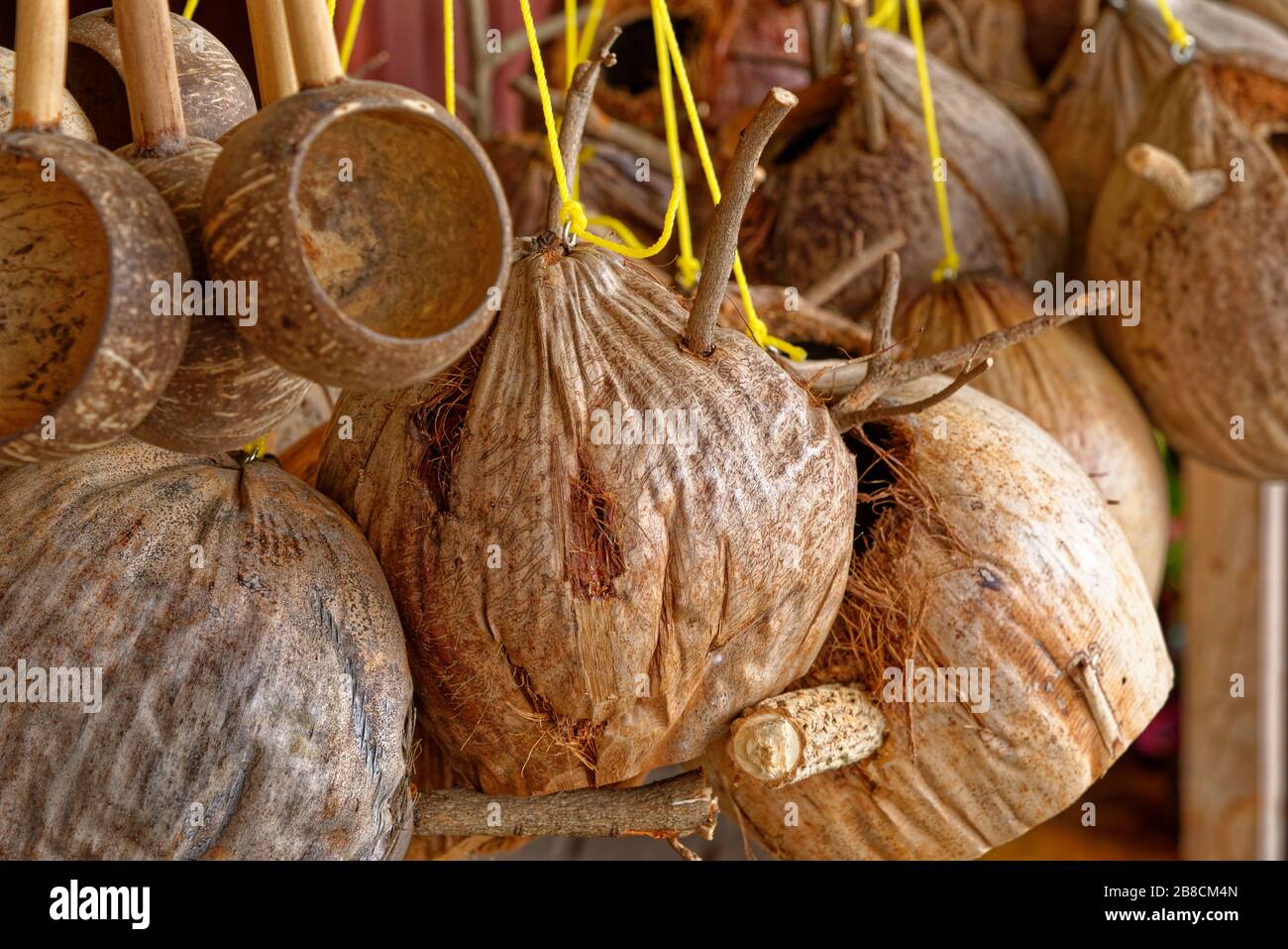 Coconut Craft High Resolution Stock Photography and Images - Alamy