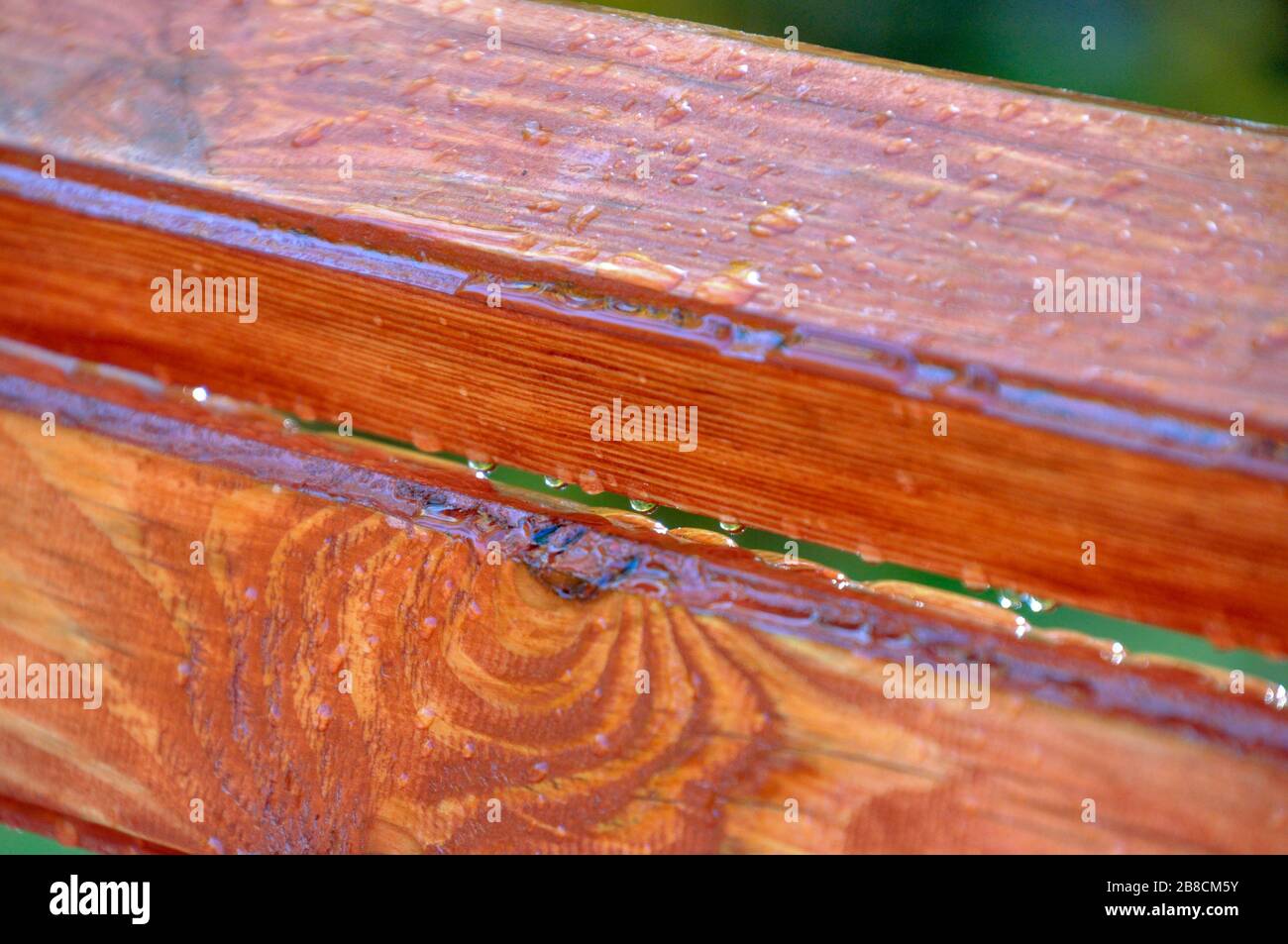 Water drops on wooden boards of the back of a bench after rain Stock ...