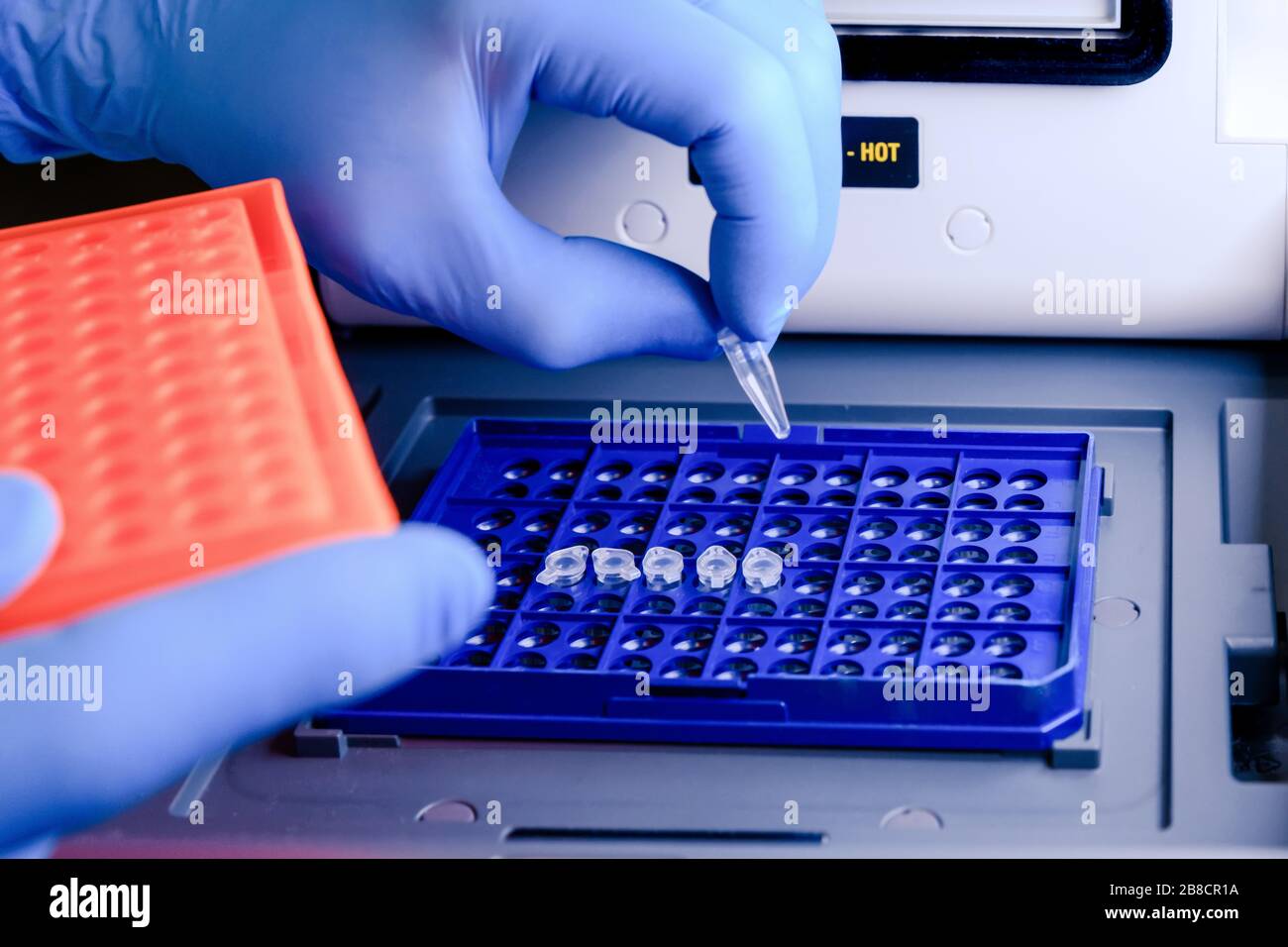 Loading a DNA tube into a PCR (polymerase chain reaction) thermocycler ...