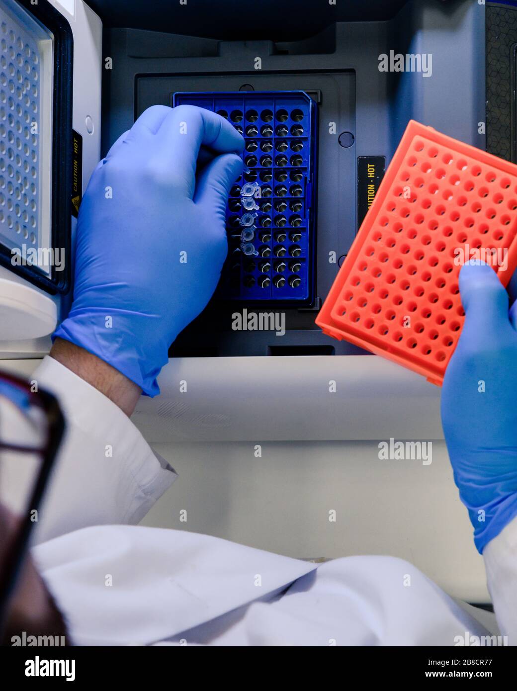 Loading a DNA tube into a PCR (polymerase chain reaction) thermocycler ...
