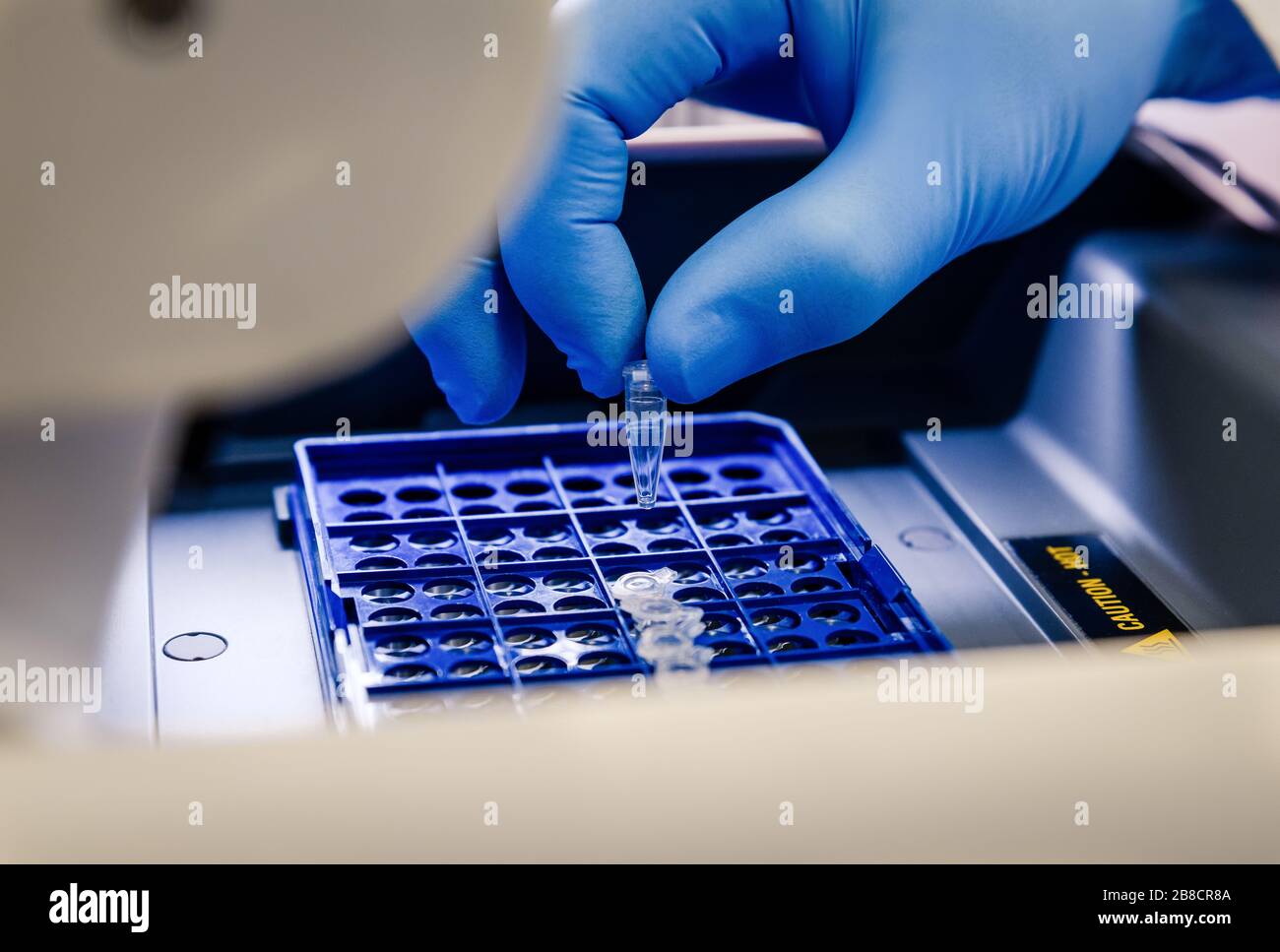 Loading a DNA tube into a PCR (polymerase chain reaction) thermocycler ...