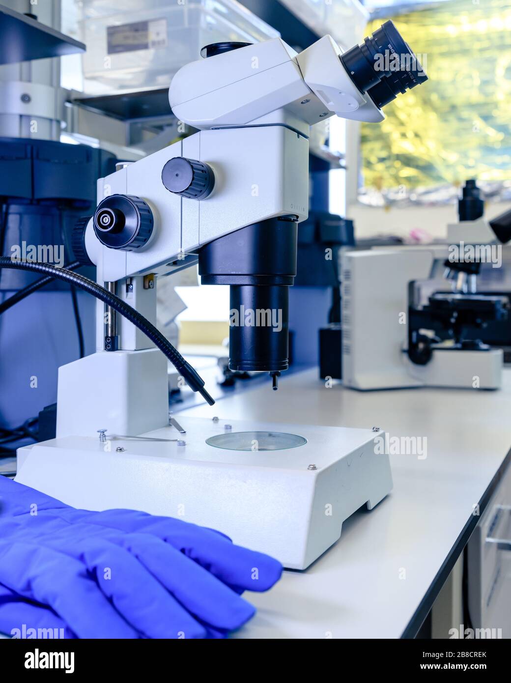 Stereomicroscope hi-res stock photography and images - Alamy