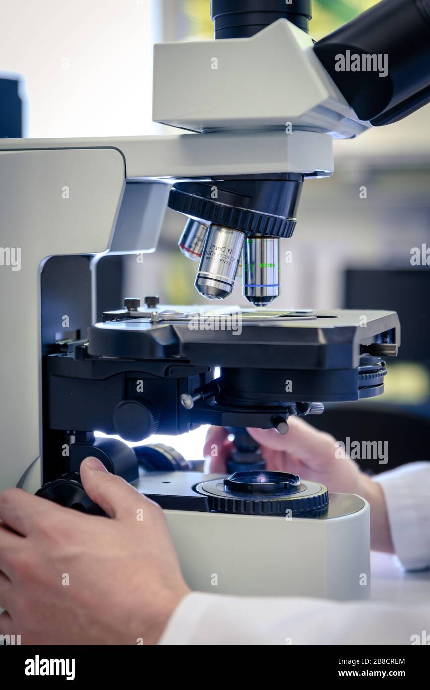 Scientific handling a light microscope examines a laboratory sample for ...