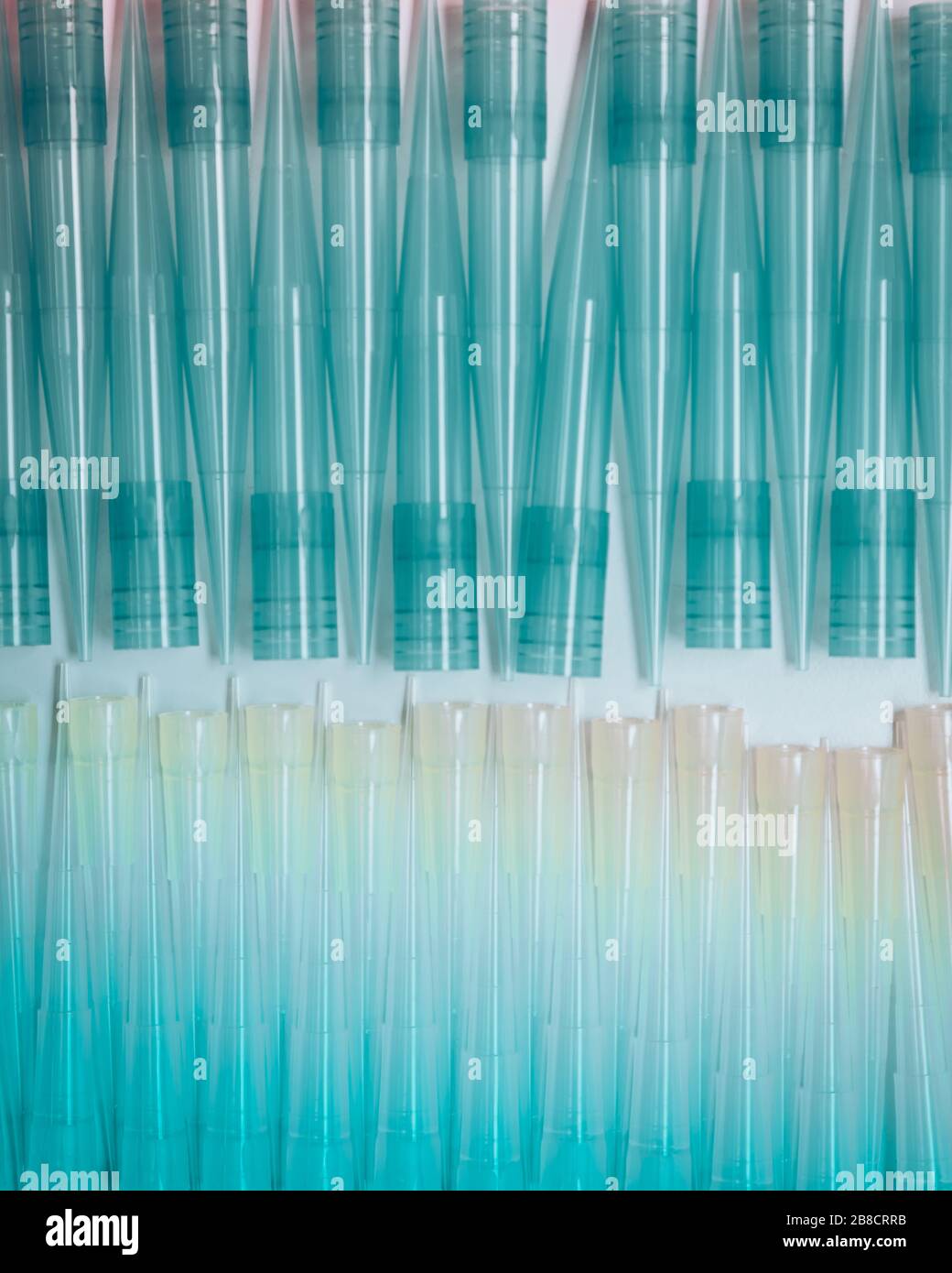 Blue and yellow universal laboratory pipet tips. Laboratory and science ...