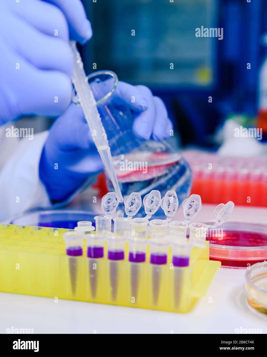 Dna development hi-res stock photography and images - Alamy