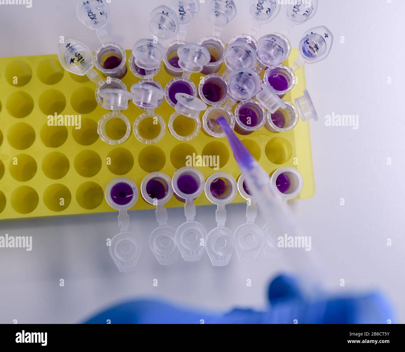 Dna development hi-res stock photography and images - Alamy