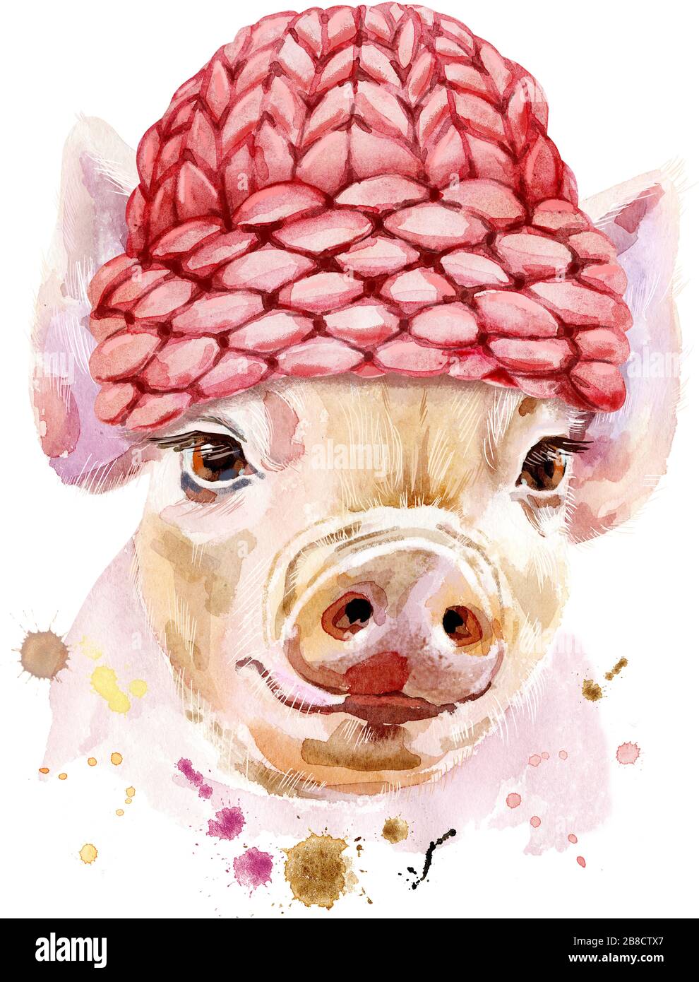 Watercolor portrait of mini pig in a knitted hat Stock Photo - Alamy