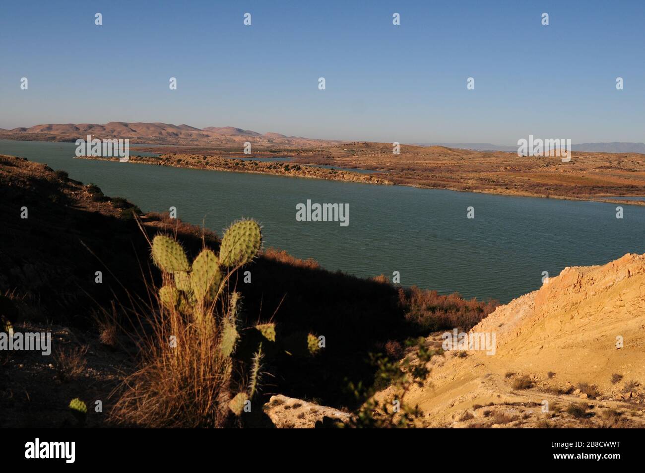 Sidi saad hi-res stock photography and images - Alamy