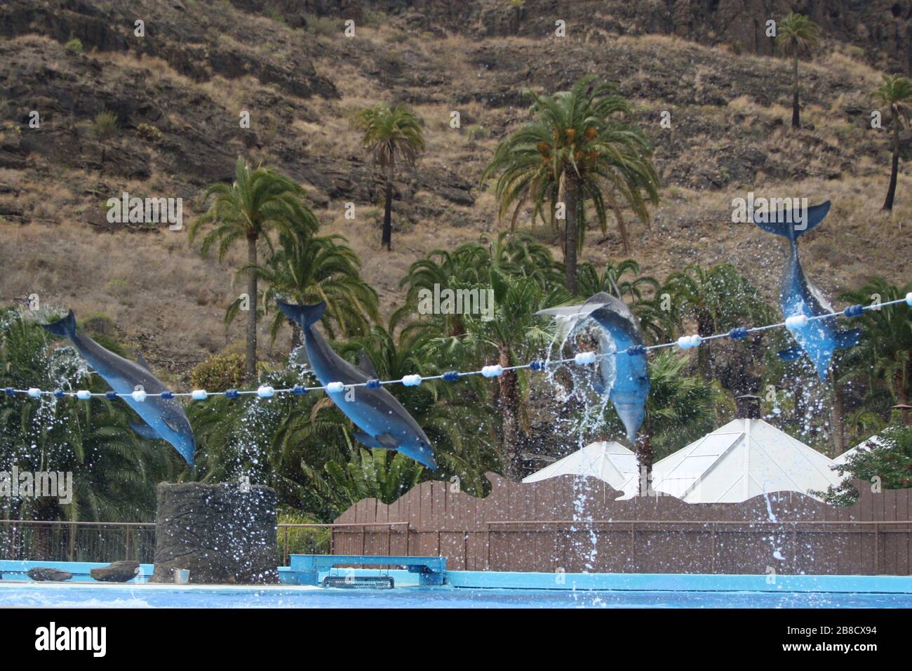 Delphin hi-res stock photography and images - Alamy