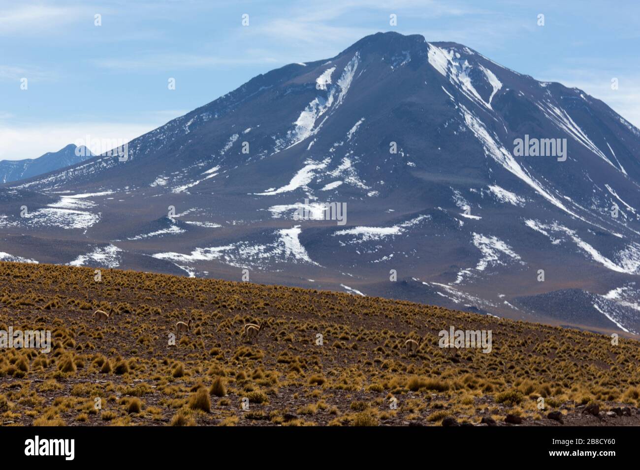 The park of laguna Miscanti and Miniques in Chile Stock Photo - Alamy