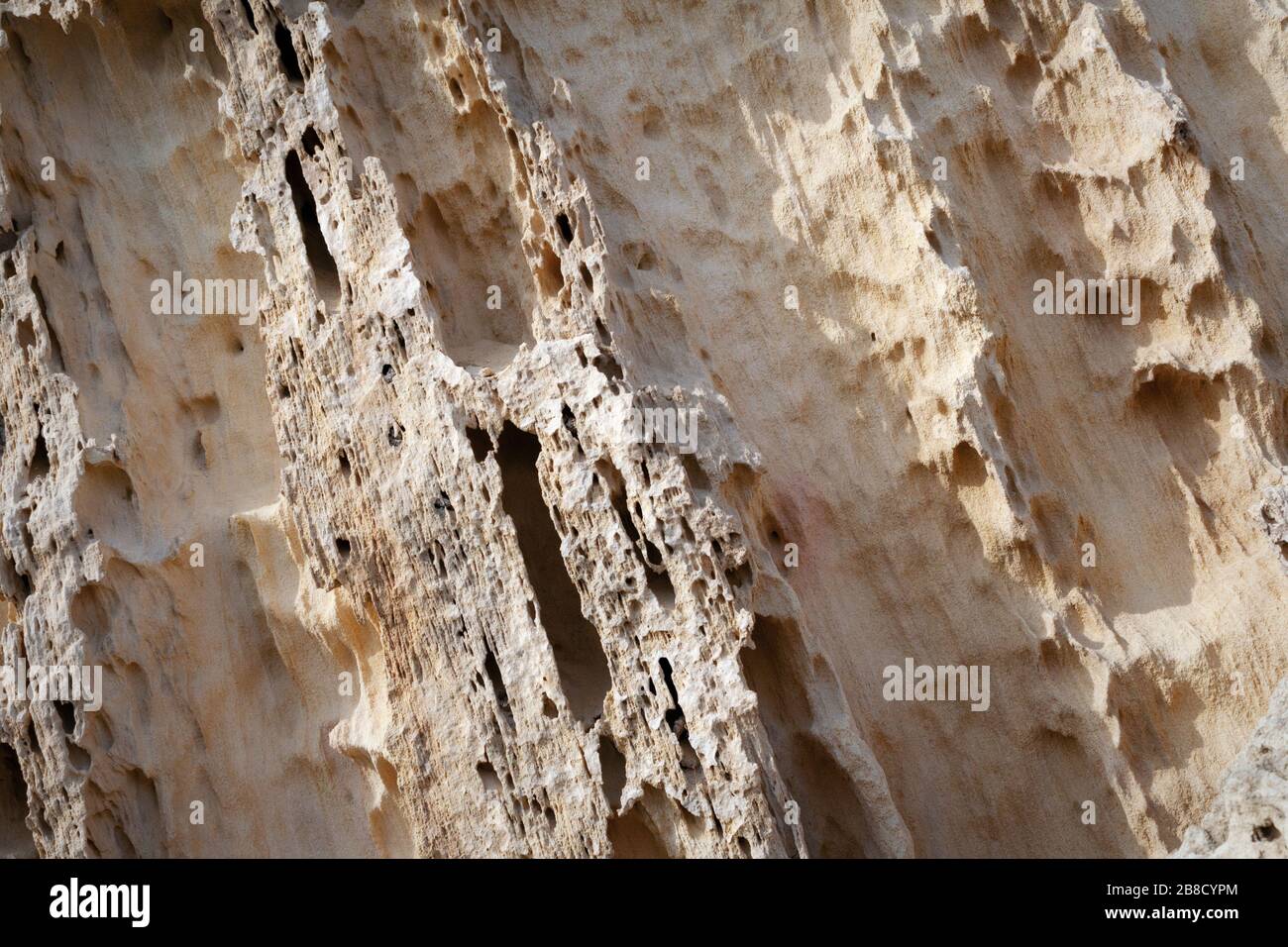 Surface sandy rock. Rocky shore of the Caspian Sea Stock Photo - Alamy