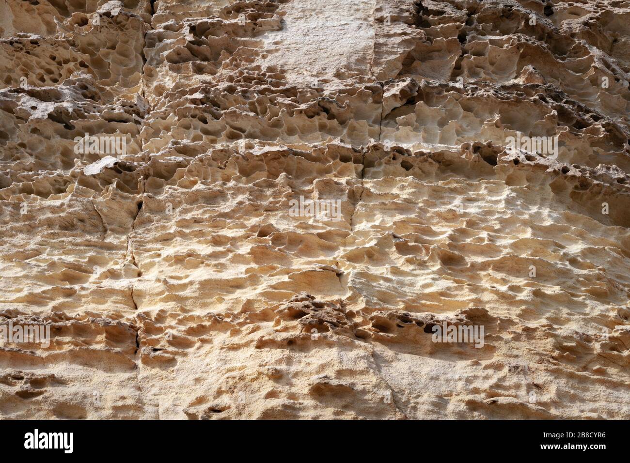 Surface sandy rock. Rocky shore of the Caspian Sea Stock Photo - Alamy