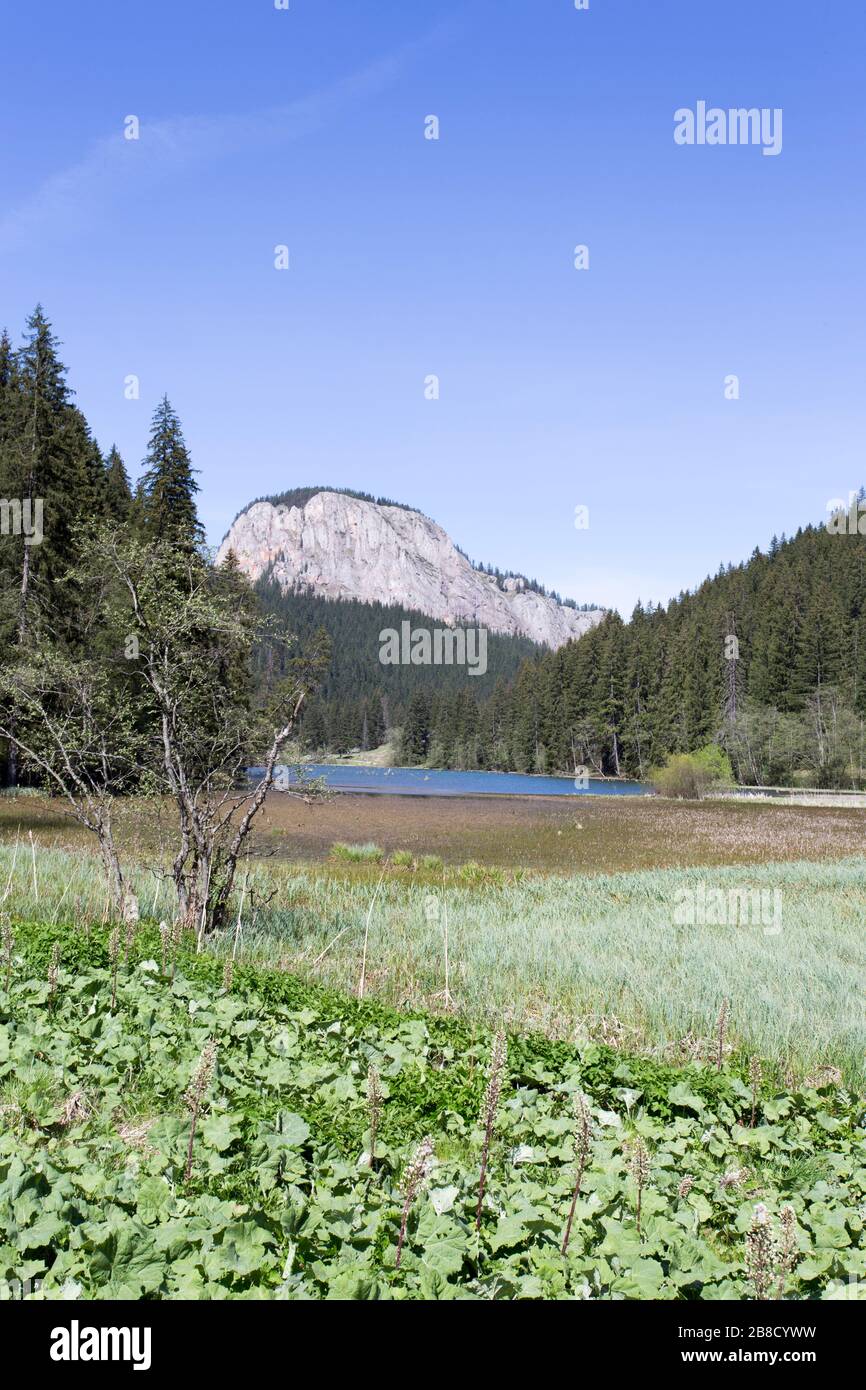 A view of red lake in Romania Stock Photo - Alamy
