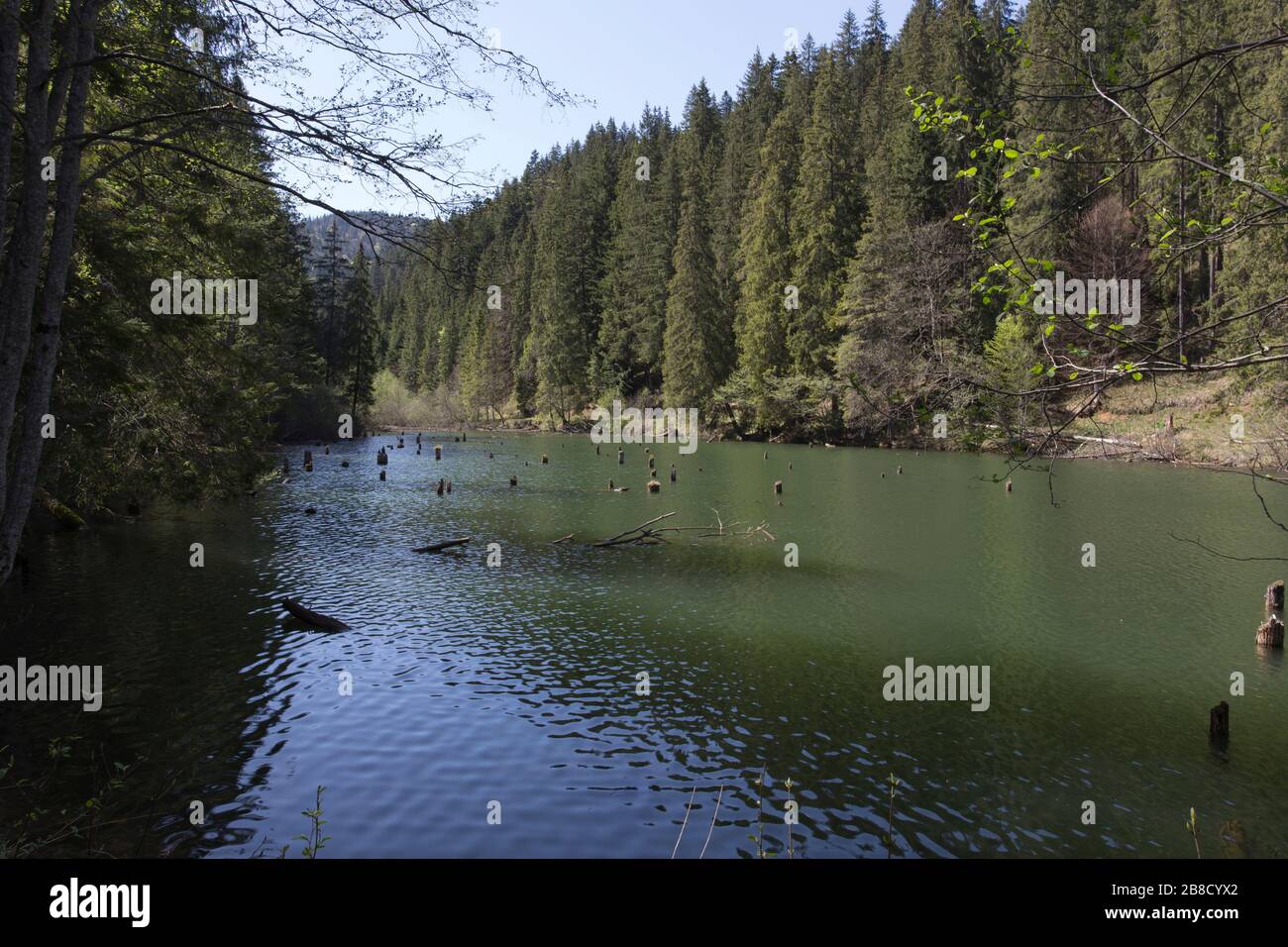 A view of red lake in Romania Stock Photo - Alamy