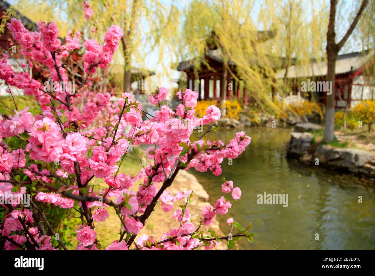 Ancient Chinese architecture in spring Stock Photo - Alamy