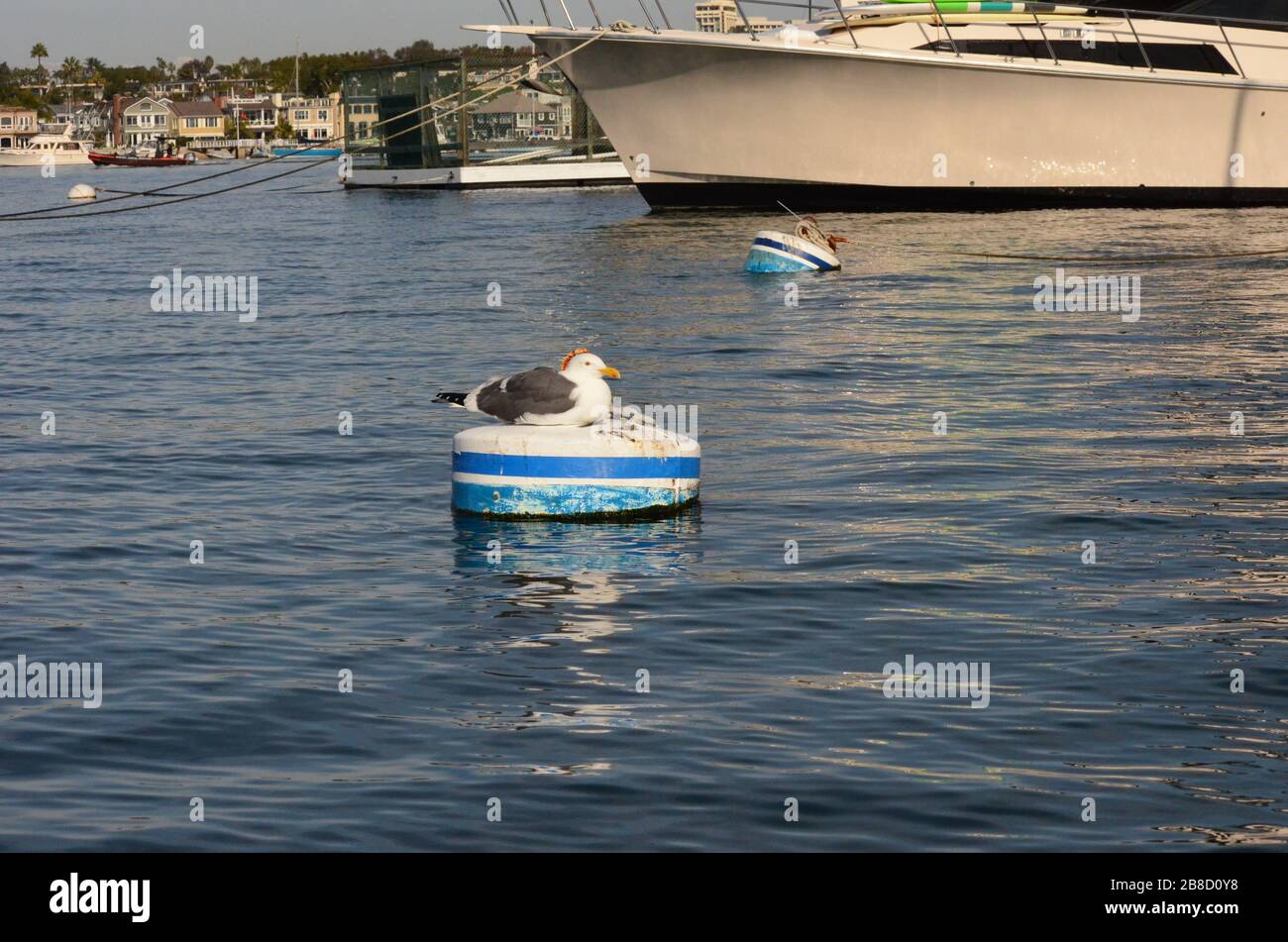 Balboa Harbor Huntington Beach Stock Photo - Alamy