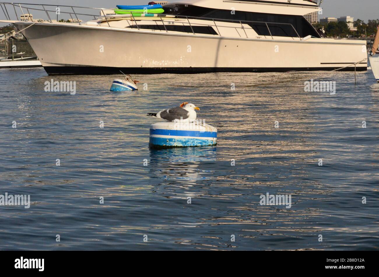 Balboa Harbor Huntington Beach Stock Photo - Alamy