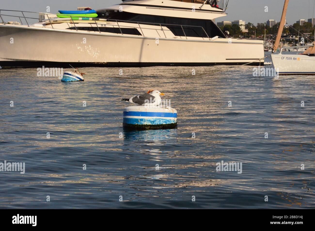 Balboa Harbor Huntington Beach Stock Photo - Alamy