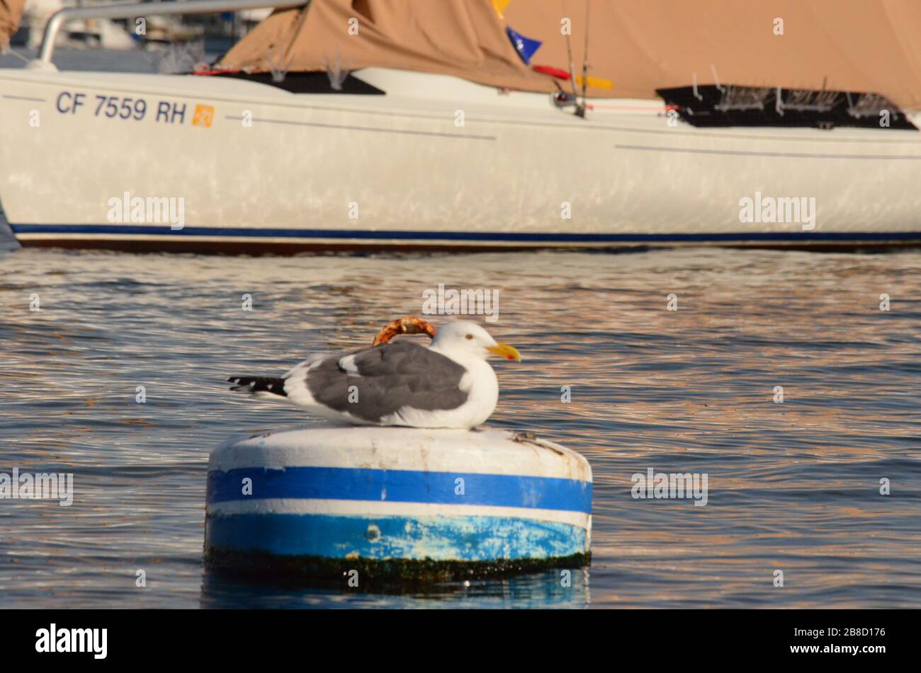 Balboa Harbor Huntington Beach Stock Photo - Alamy