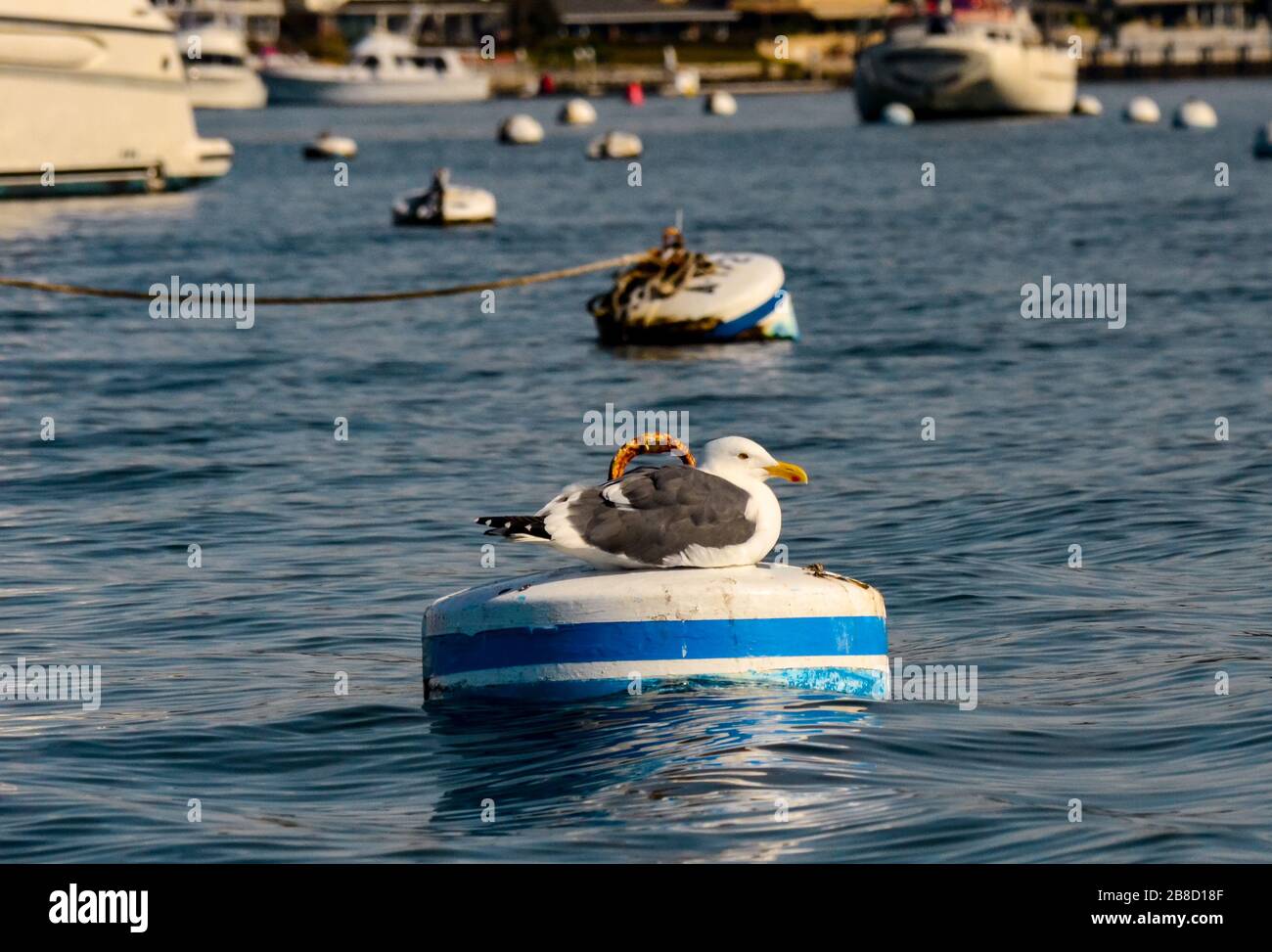Balboa Harbor Huntington Beach Stock Photo - Alamy