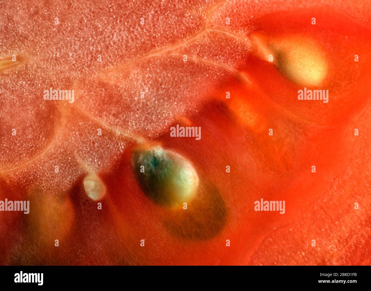 Creative, surprising macro image of tomato pulp. Abstract, fresh ...