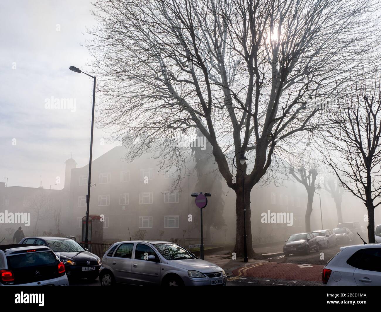 A tree in smoke from a house fire in north London Stock Photo - Alamy
