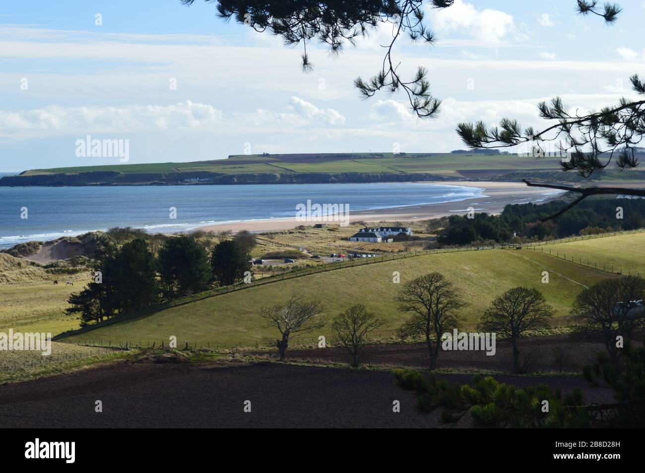 Lunan Bay Beach, Scotland Stock Photo - Alamy