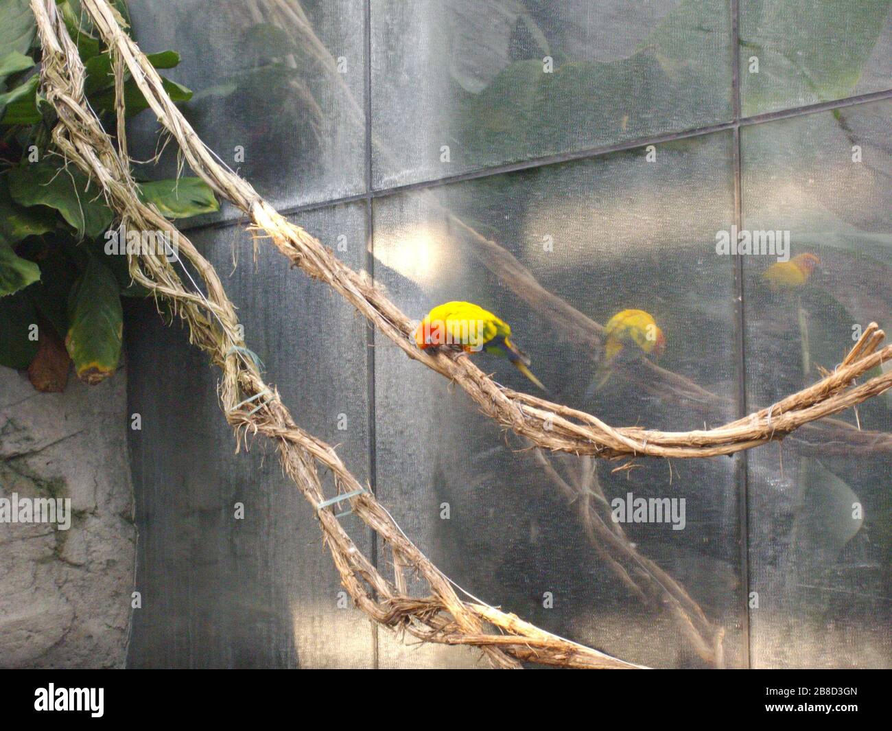 Animals and plants in the Genova's biosphere Stock Photo - Alamy