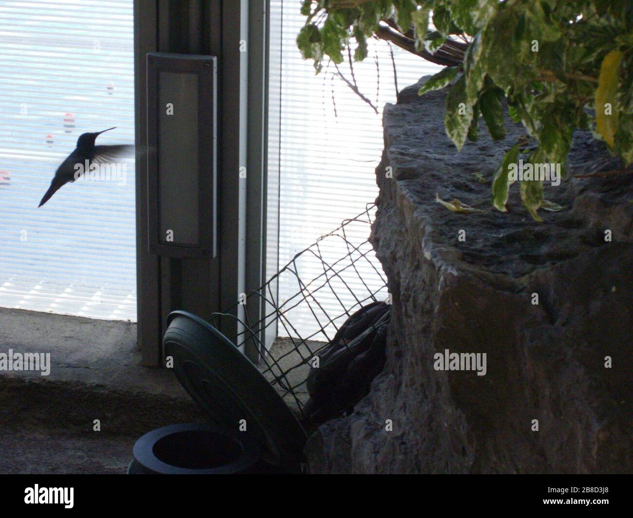 Animals and plants in the Genova's biosphere Stock Photo - Alamy