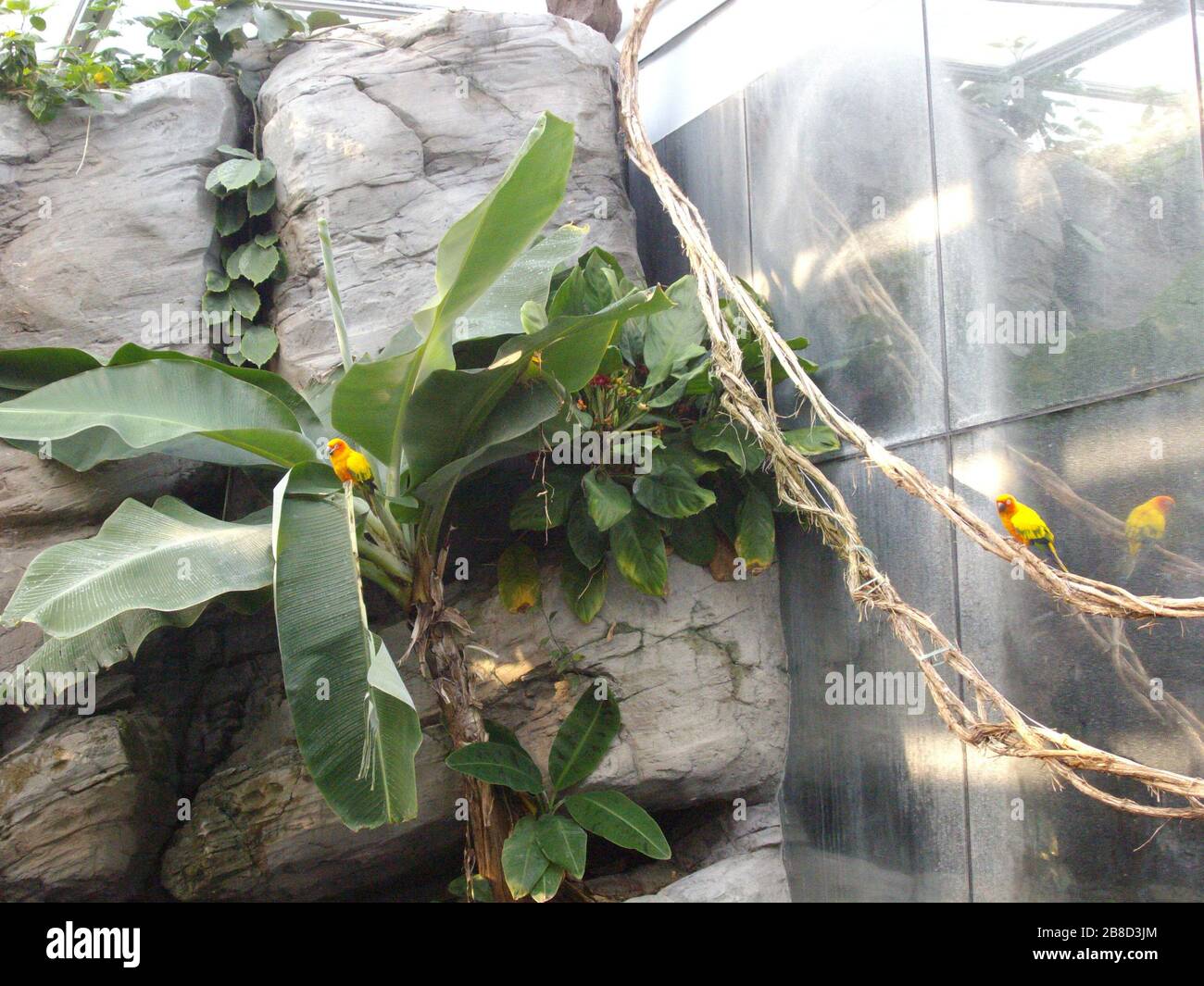 Animals and plants in the Genova's biosphere Stock Photo - Alamy