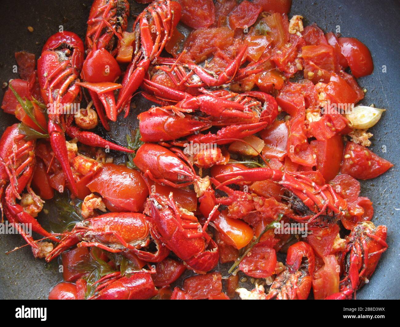 Brackish water crayfish hi-res stock photography and images - Alamy