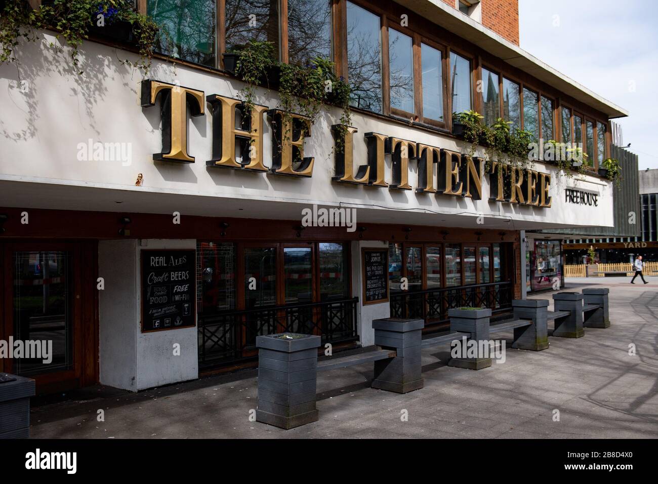 Litten Tree High Resolution Stock Photography and Images - Alamy