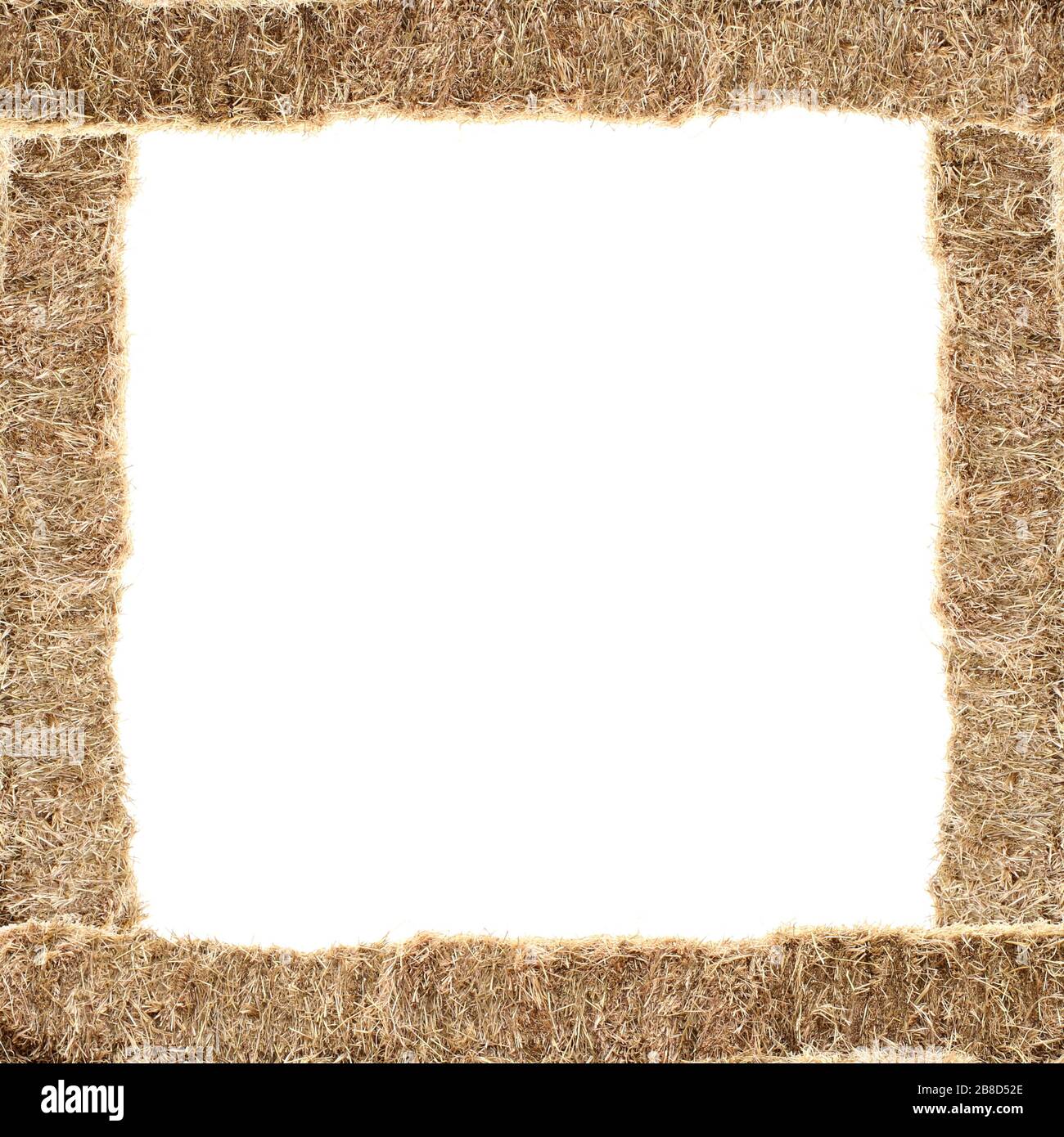 straw border, straw banner, frame from straw grass dry on white ...