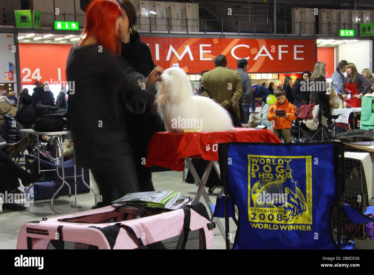 Dogs in competition at dog's event Stock Photo - Alamy