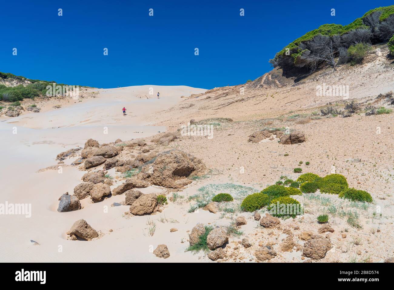 Bolonia cadiz hi-res stock photography and images - Alamy