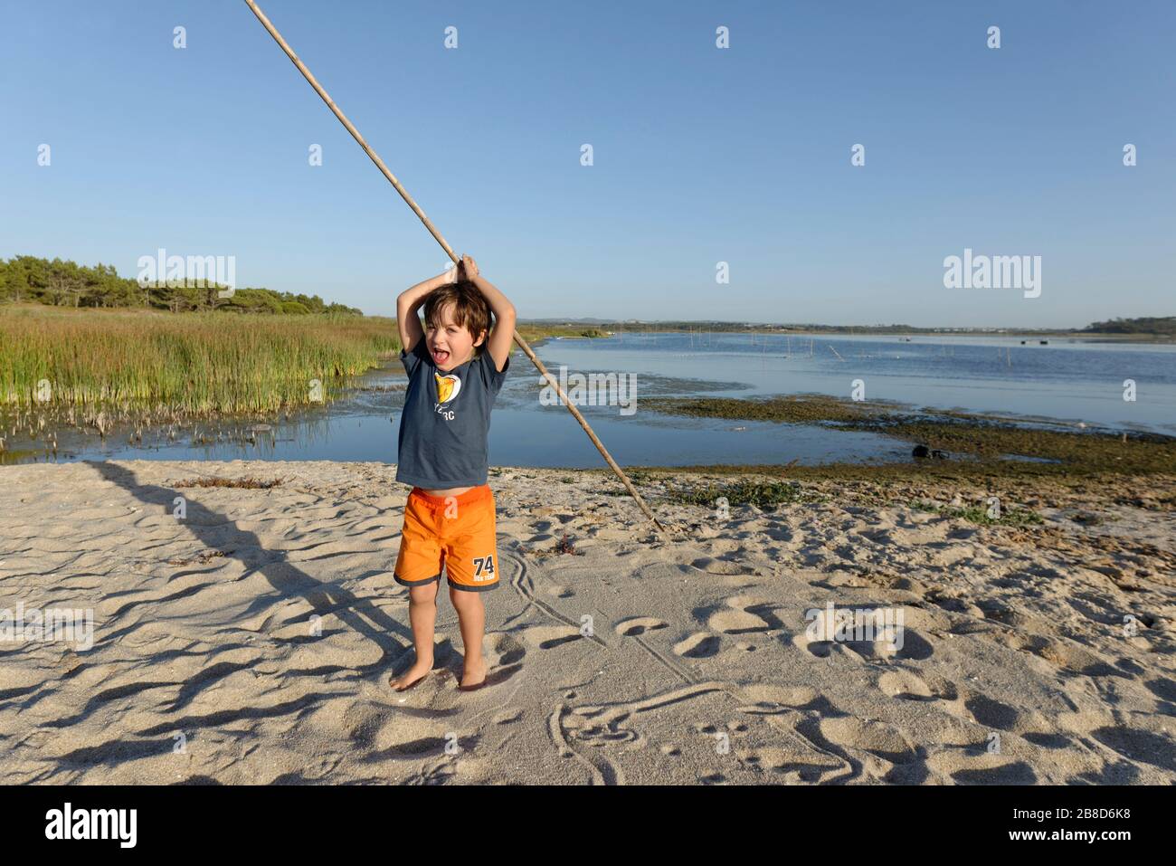 six years old boy on the beach Stock Photo - Alamy
