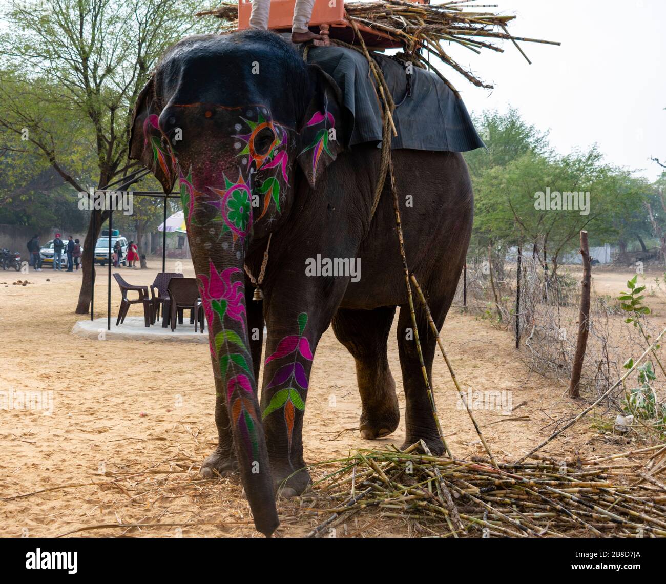 Jaipur, Rajasthan, India - January 6 2020 - A beautiful and colorful ...