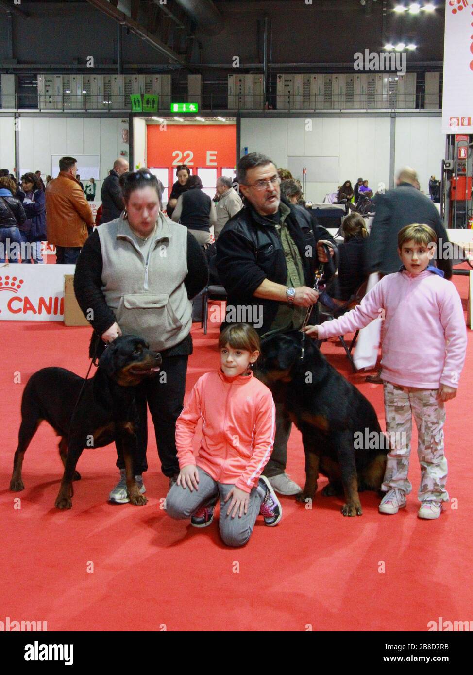Dogs in competition at dog's event Stock Photo - Alamy