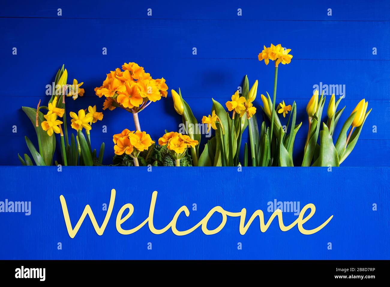 Welcome home card with flowers hi-res stock photography and images - Alamy