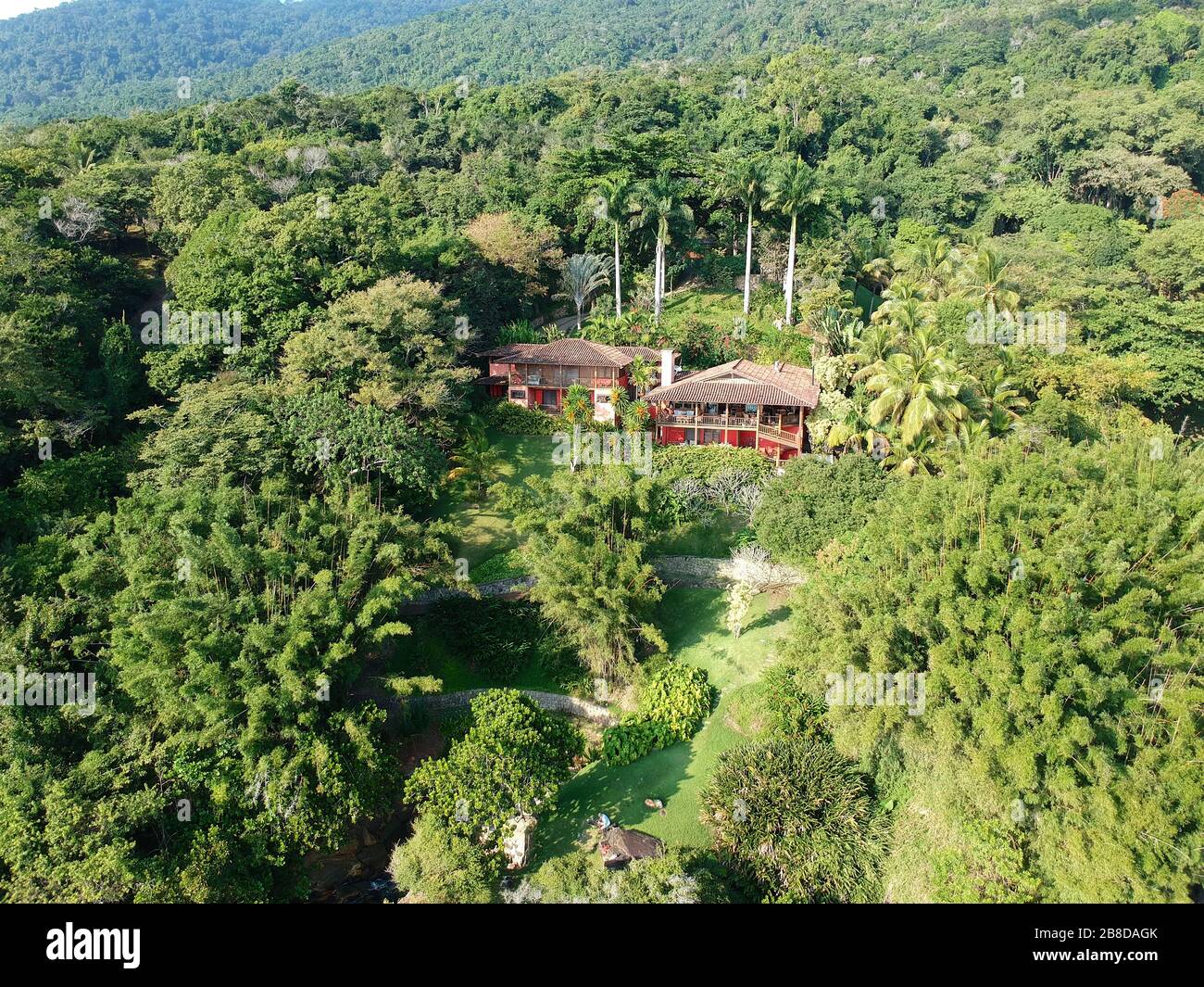 Forest tree house jungle hi-res stock photography and images - Alamy