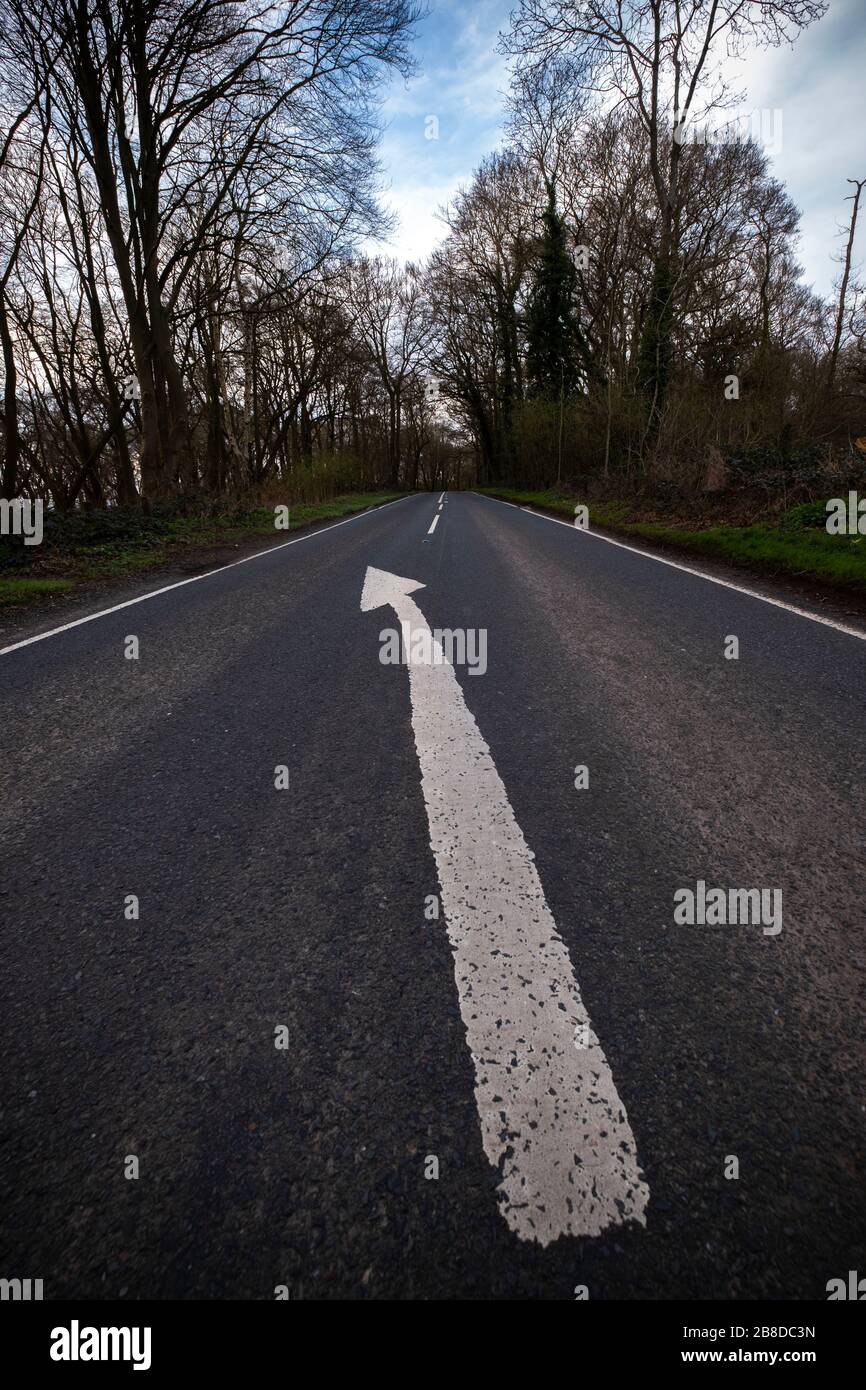 A huge arrow road marking shows keep left through a woodland road ...